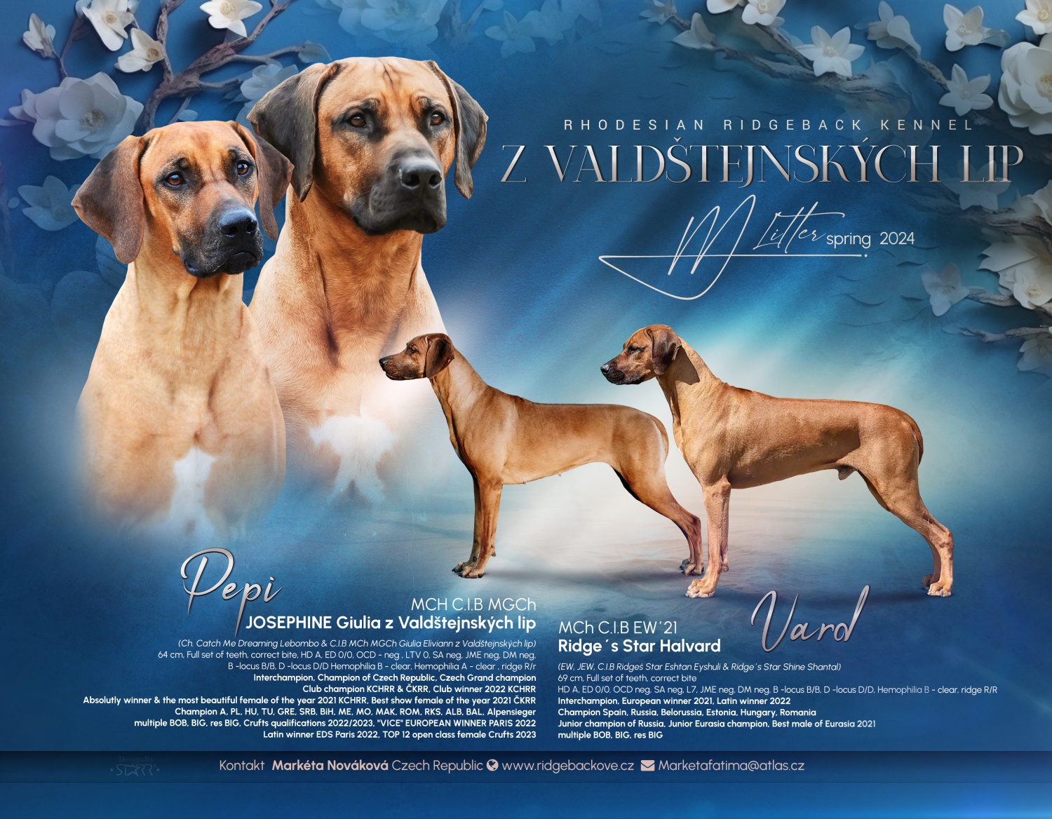 Aktuální vrhy :: Rhodesky ridgeback celá čr